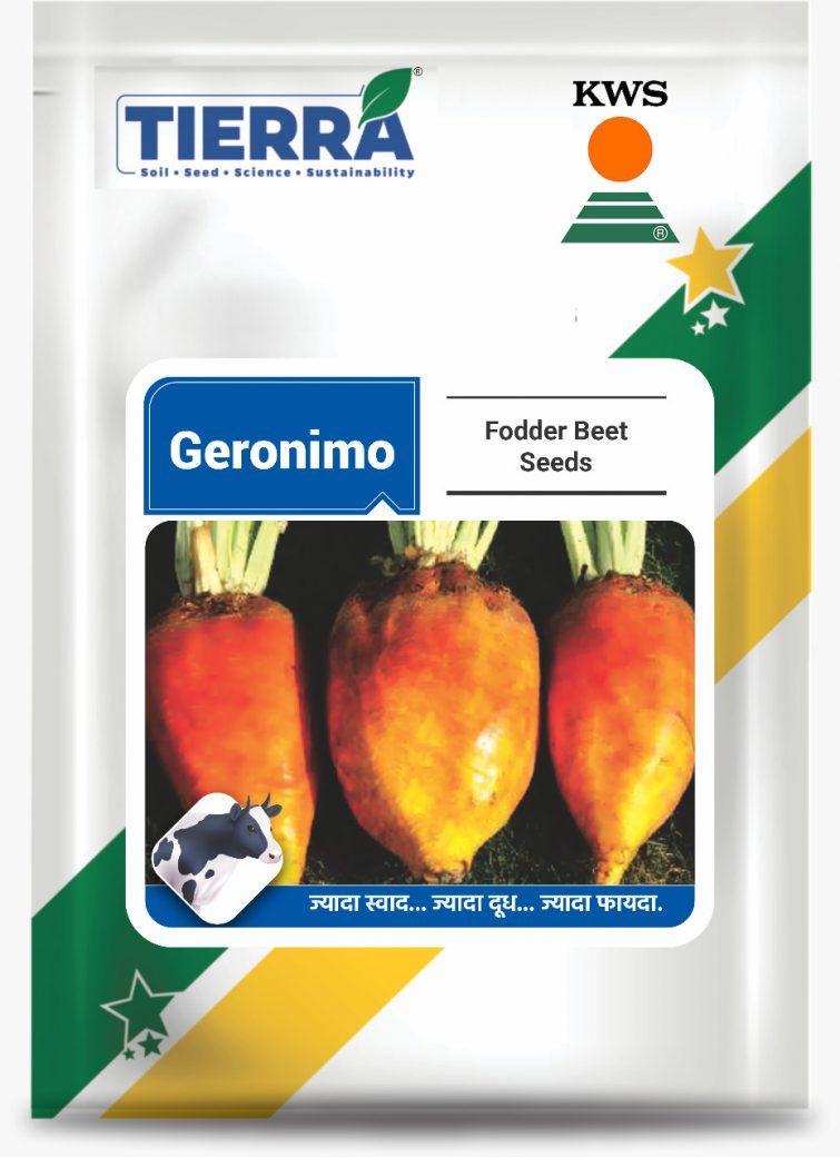 Geronimo - Fodder Beet Seeds - Tierra Agrotech